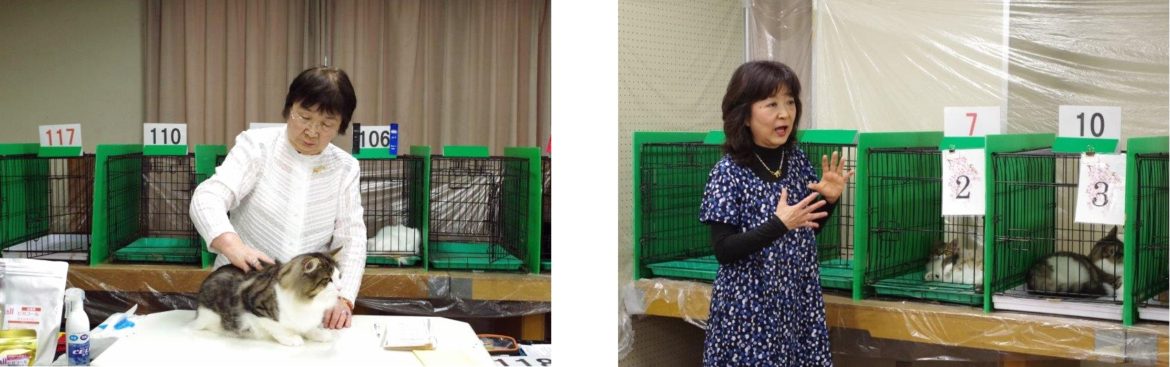 ★CPP#30-31 ｷｬｯﾄｼｮｰﾚﾎﾟｰﾄ（その1）★ – CATS PARADISE PARTY!!